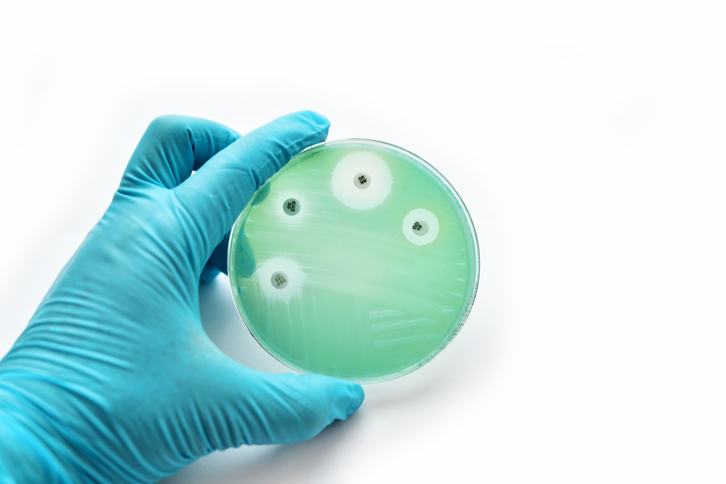 National Antibiogram Committee